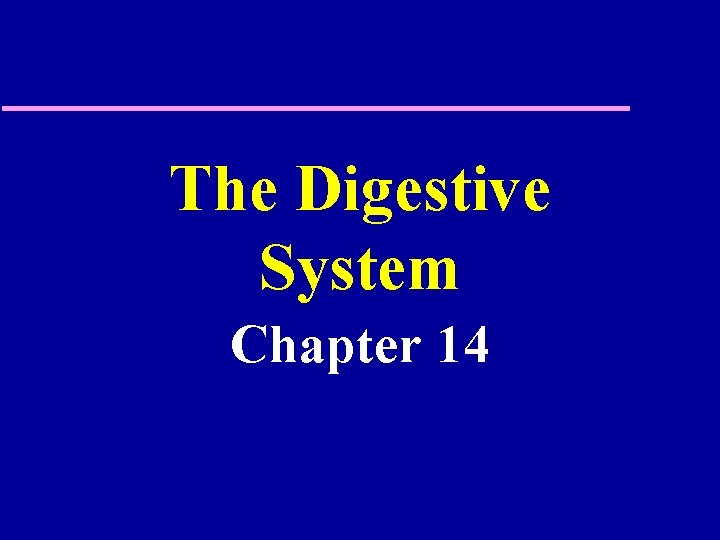 The Digestive System Chapter 14 I Overview of