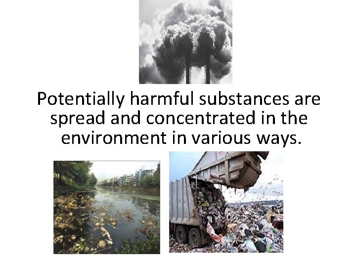 Section 3 0 The Spread of Harmful Substances