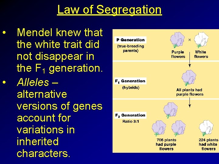 Mendel and The Gene Idea Gregor Mendel was