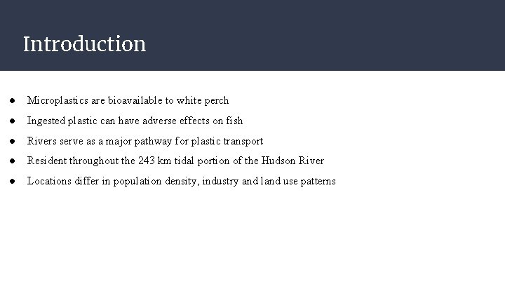 A Comparative Analysis of Microplastics Consumed by White