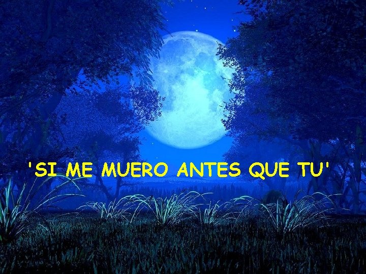 SI ME MUERO ANTES QUE TU Si Muero
