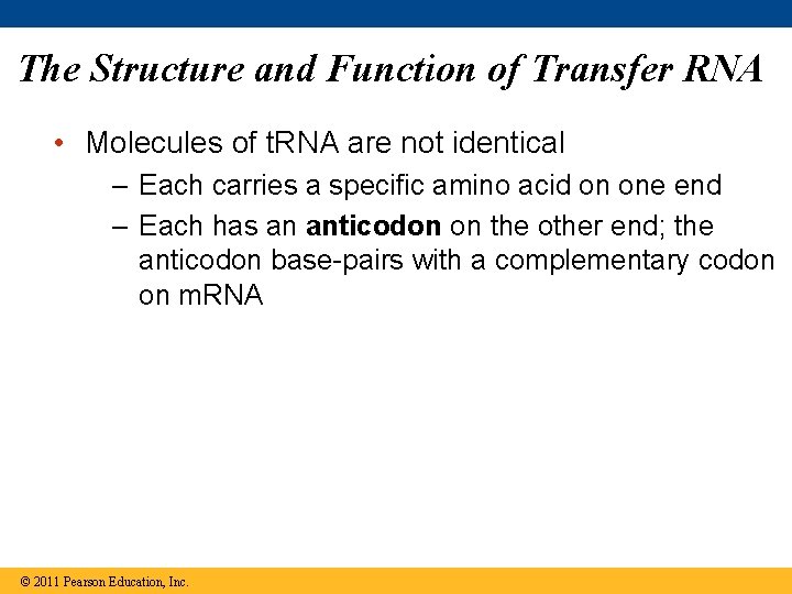 Concept 17 3 Eukaryotic cells modify RNA after