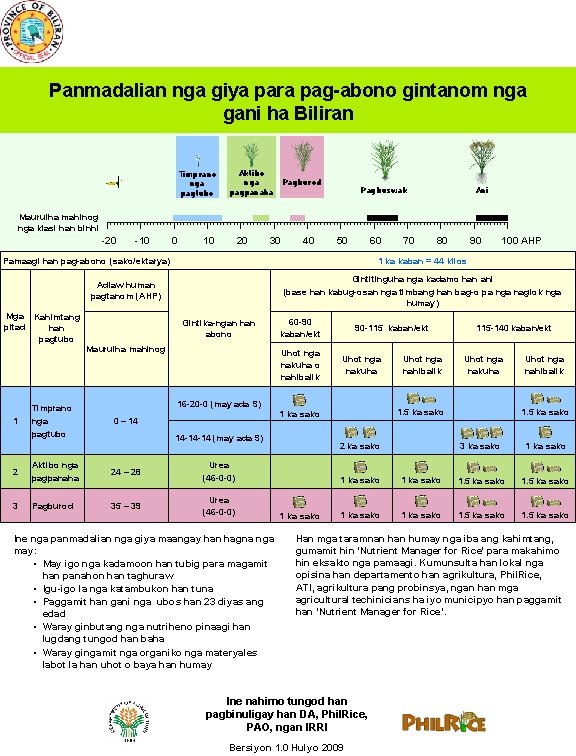 Quick guide for fertilizing transplanted rice in Biliran
