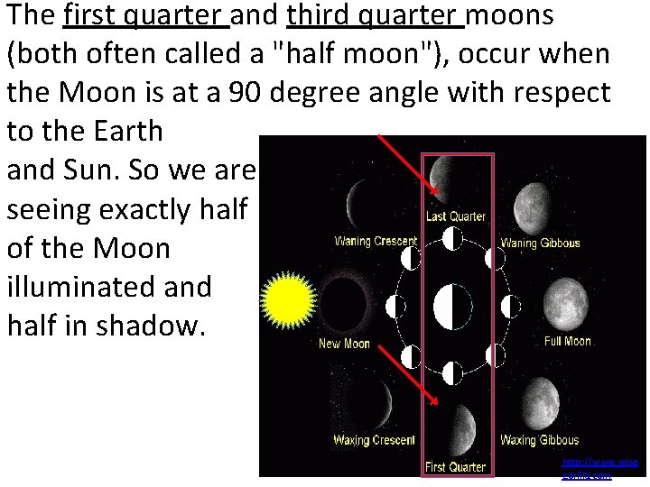 Phases of the Moon By Moira Whitehouse Ph