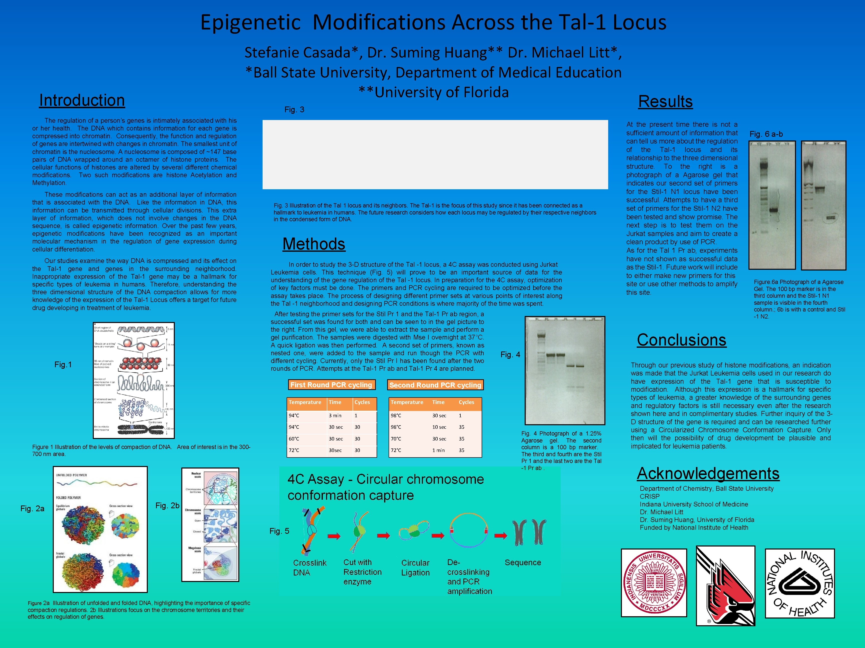 Epigenetic Modifications Across the Tal1 Locus Stefanie Casada