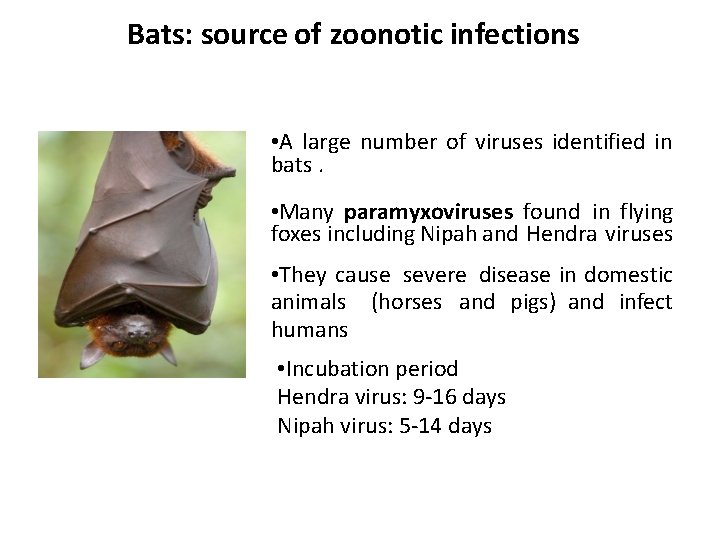 Emerging Infectious Diseases Emerging Infectious Diseases Emerging ...