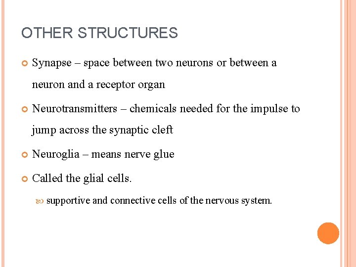 CHAPTER 10 Nervous System WORD PARTS Encephalo brain