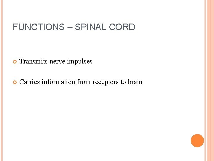 CHAPTER 10 Nervous System WORD PARTS Encephalo brain