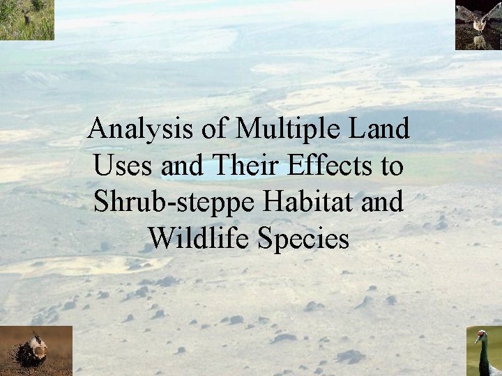 Analysis of Multiple Land Uses and Their Effects