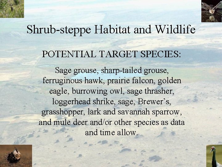 Analysis of Multiple Land Uses and Their Effects