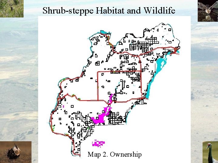 Analysis of Multiple Land Uses and Their Effects