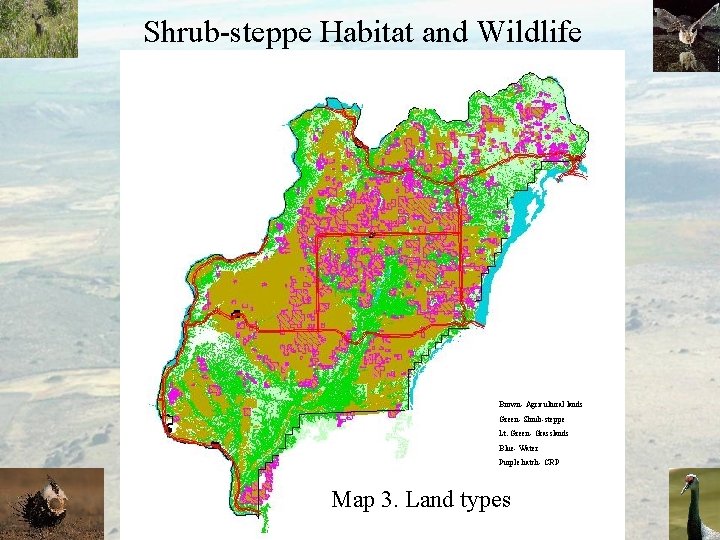 Analysis of Multiple Land Uses and Their Effects