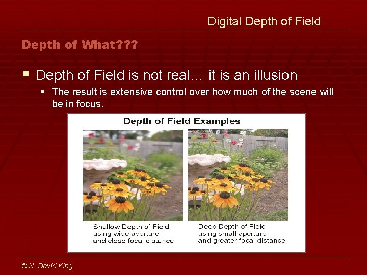 Digital Depth of Field Presented by N David