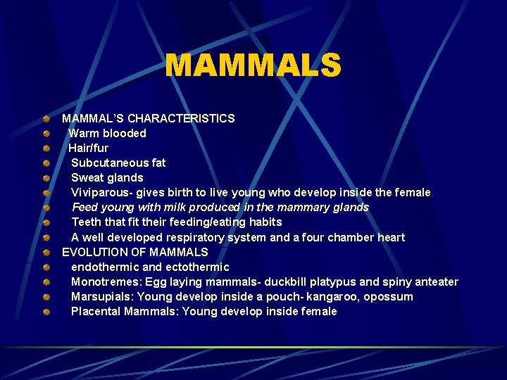 MAMMALS MAMMALS CHARACTERISTICS Warm blooded Hairfur Subcutaneous fat