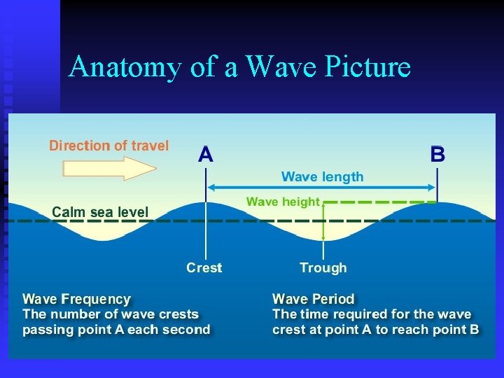 Ocean Motion Wave n n n They obtain