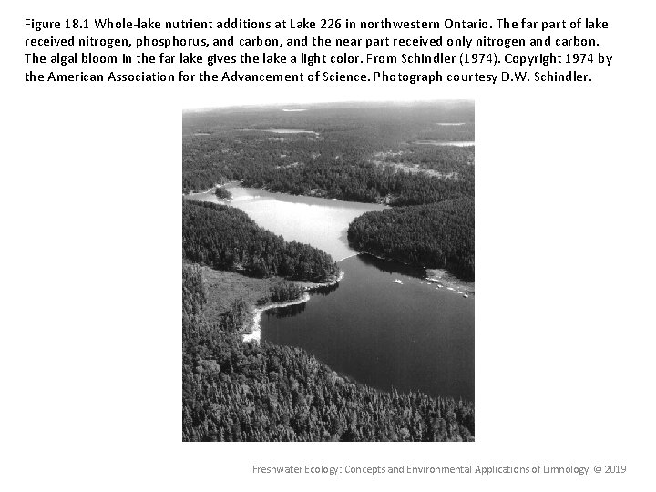 Figure 18 1 Wholelake nutrient additions at Lake