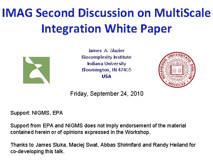 IMAG Second Discussion on Multi Scale Integration White