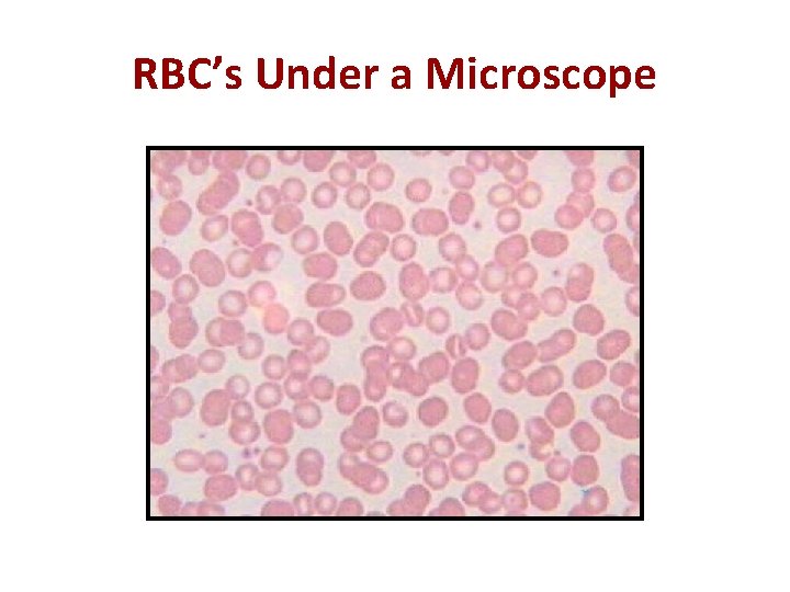 Human Transport Topic 13 Human Transport Closed circulatory