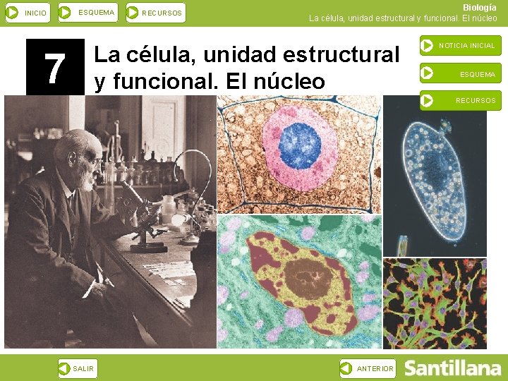 INICIO ESQUEMA RECURSOS Biologa La clula unidad estructural