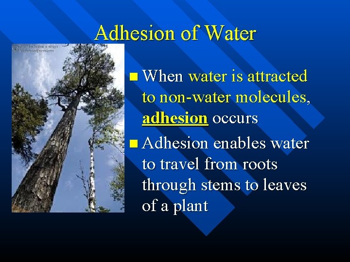 Water Properties from a Biological perspective Importance of