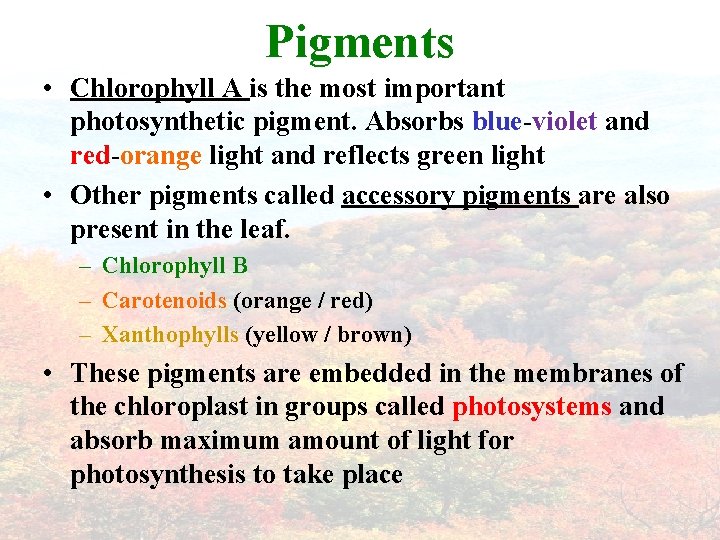 Photosynthesis Photosynthesis in Overview WHAT Process by which
