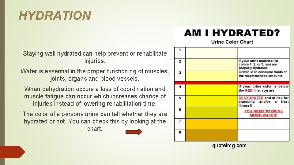 A Guide to Get Your Injured Athlete Back