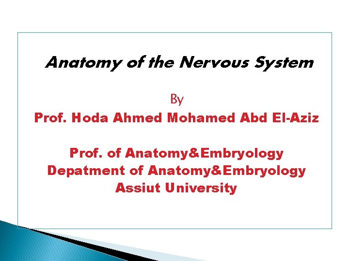Anatomy of the Nervous System By Prof Hoda