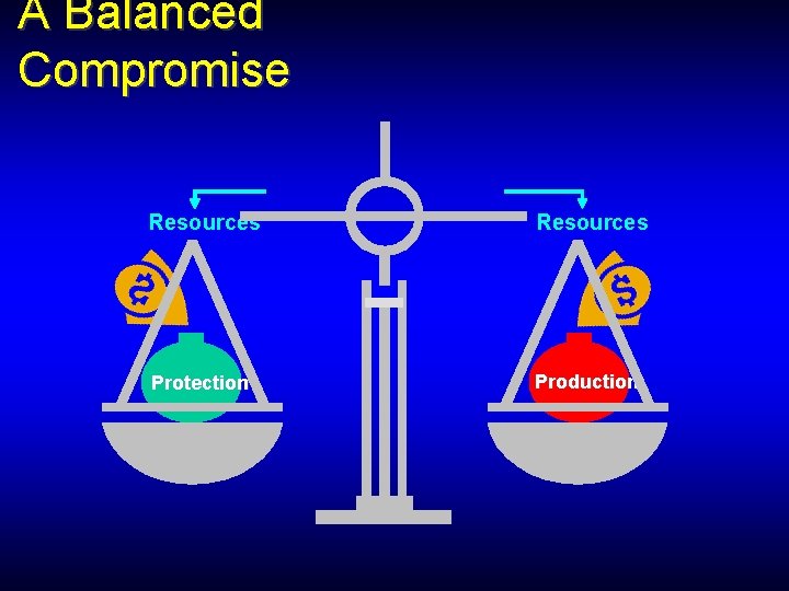 Safety Management A Compromise Between Production and Protection