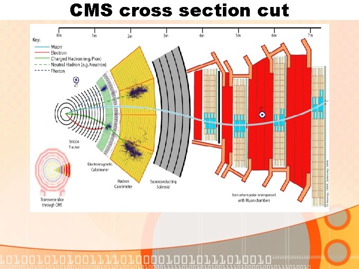 CMS Pixel Configuration Database Interface in C Michael