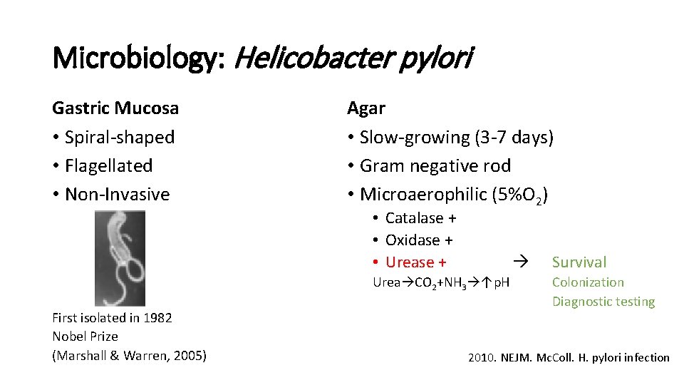 Helicobacter Pylori Infection Jaime Gallegos MD Infectious Disease
