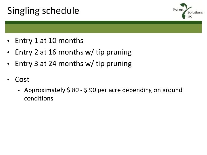Singling tip pruning and stem form improvement for