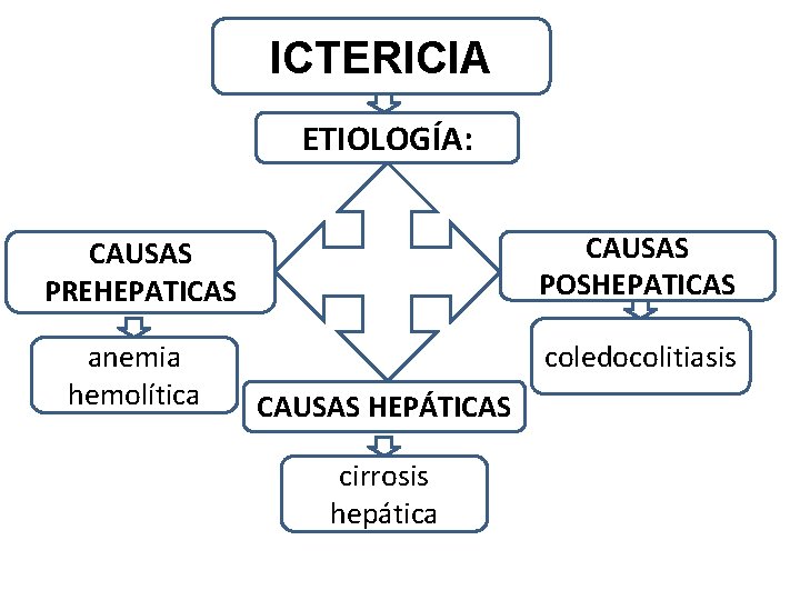 ICTERICIA Dr Alejandro Caas Coto Gastroenterlogo y Hepatlogo