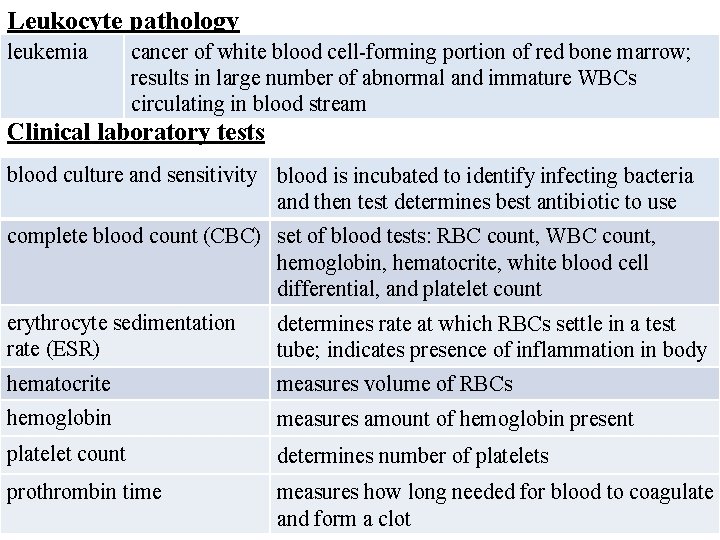 Cardiovascular System General The cardiovascular system also called