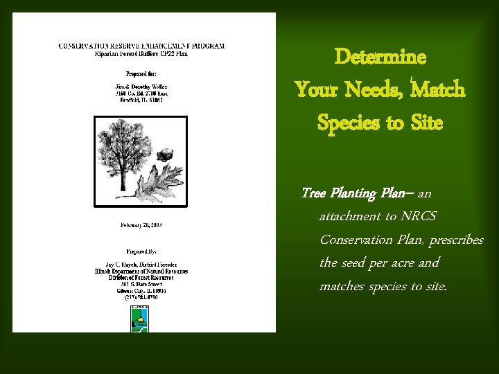 DIRECT SEEDING Establishing a Forest With Seed BENEFITS