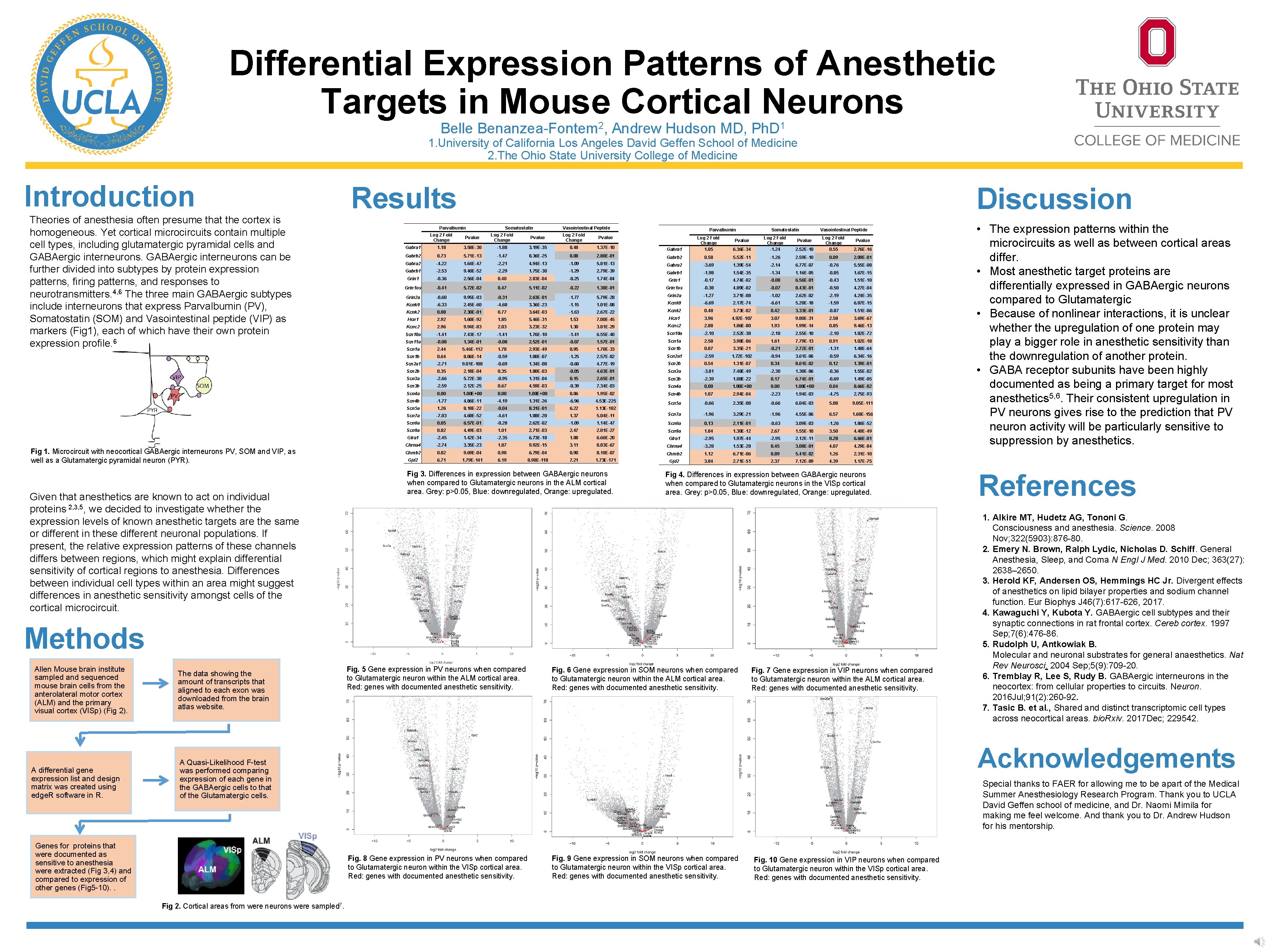 Differential Expression Patterns of Anesthetic Targets in Mouse