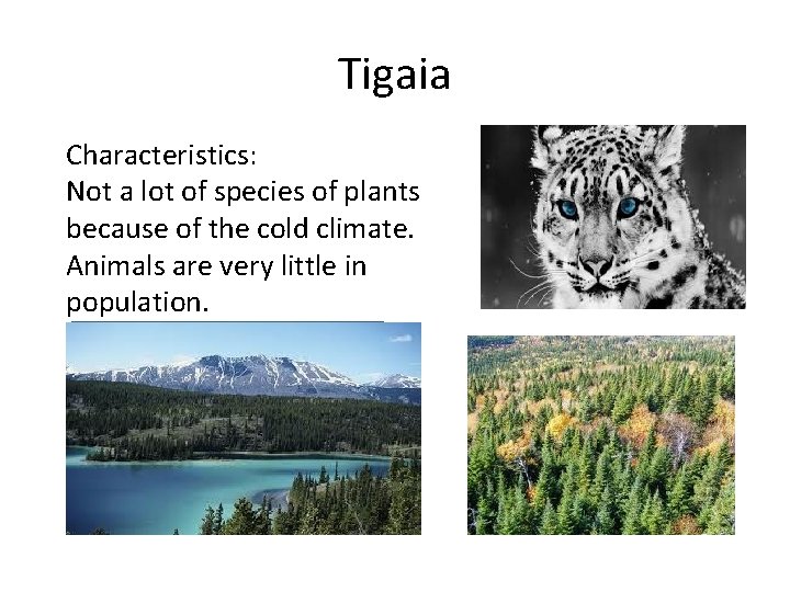 Land Biomes Name Matt Himes Mac Carlson Period