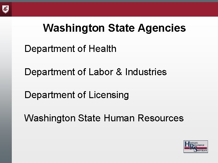 WSU Employment The Basics Presented by Bonnie Wilmoth