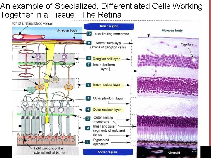 Do Now 11 29 OBJECTIVES 1 2 Define