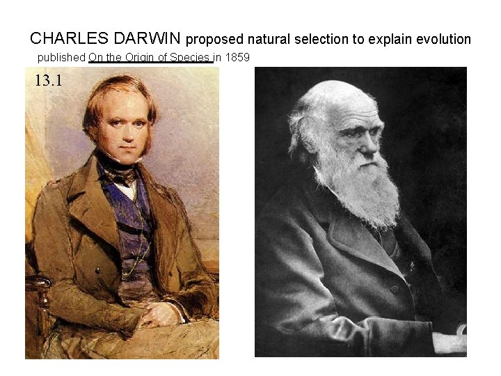 CHARLES DARWIN proposed natural selection to explain evolution