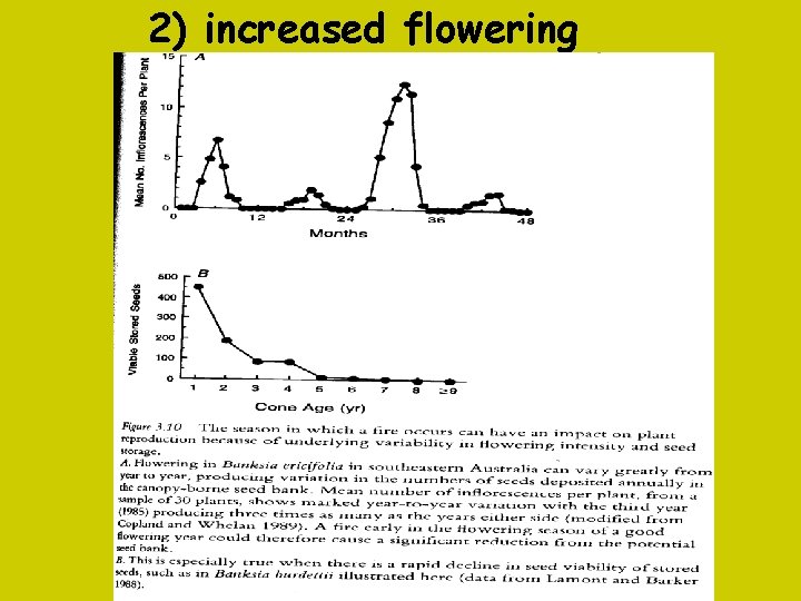 Plant and Animal Adaptations to Fire What is