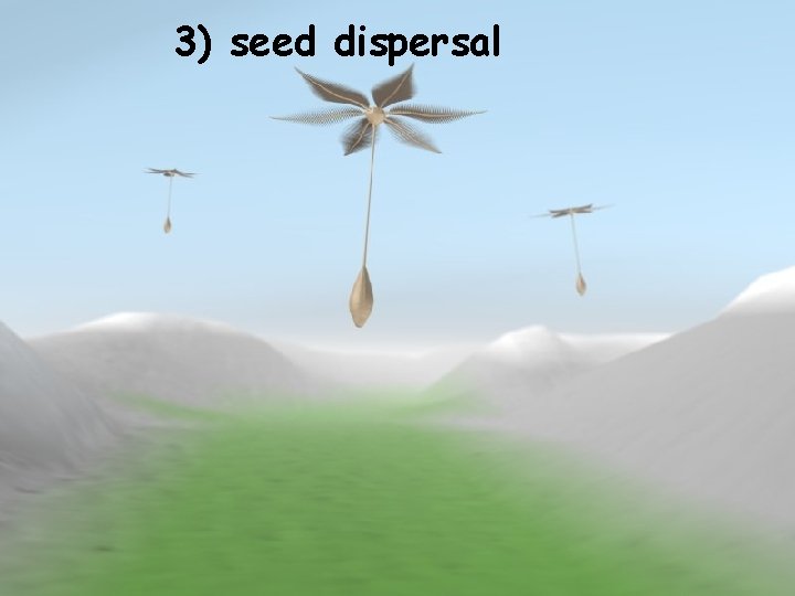 Plant and Animal Adaptations to Fire What is