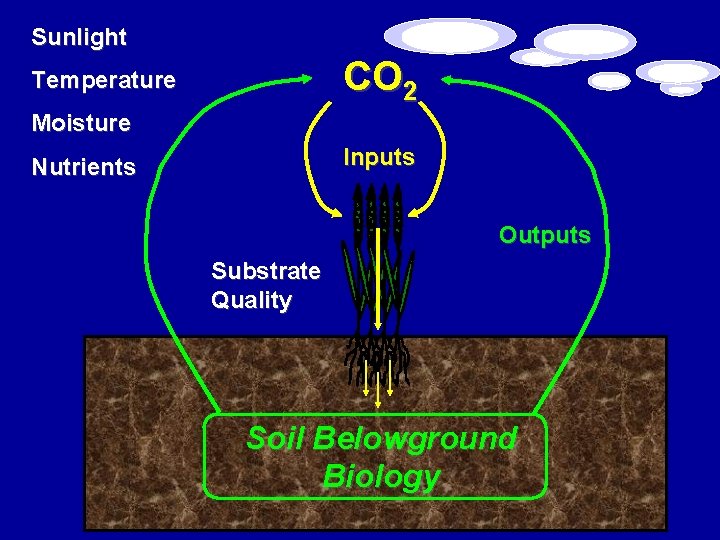 Soil C Dynamics Following Addition of 13 Clabeled