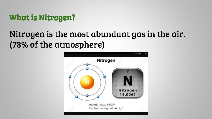 Natural Cycles The Nitrogen Cycle What is Nitrogen