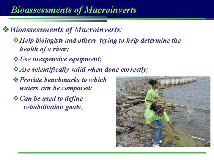 Fun with Macroinvertebrates Biological Assessment of Pond Health