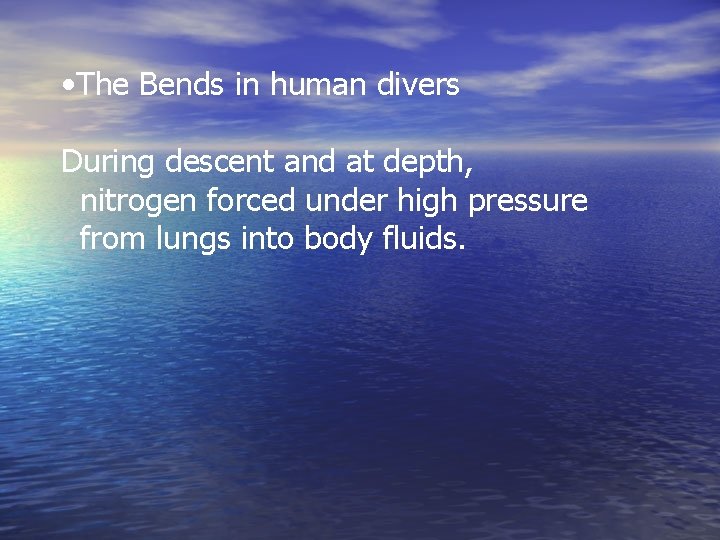 Physiology of Marine Mammals Bob Gatten Emeritus Professor