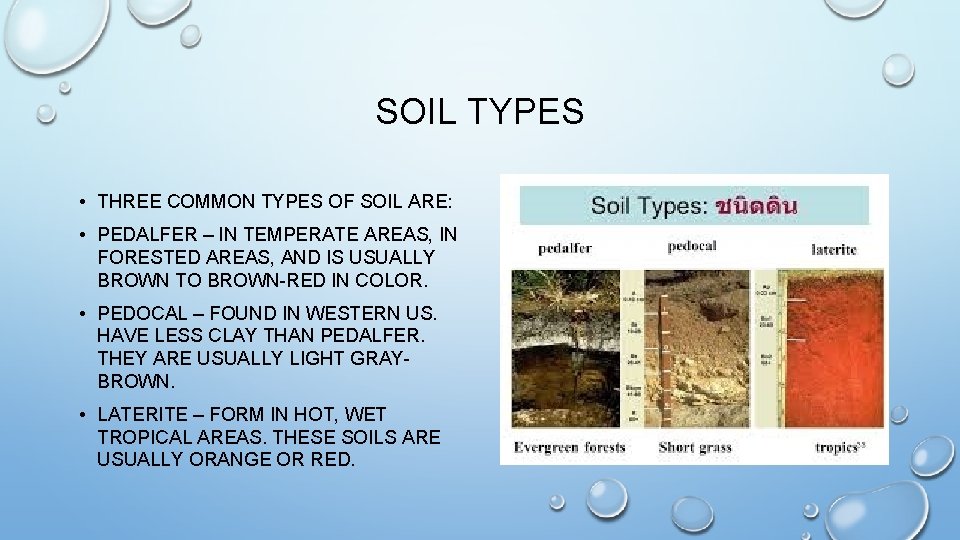 CHAPTER 5 2 B SOIL THE SOIL PROFILE