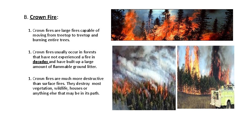 Lesson 8 Sustaining Biodiversity Ecosystem Management Environmental Science