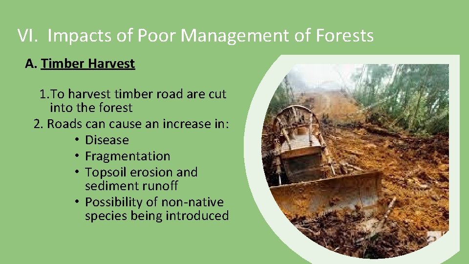 Lesson 8 Sustaining Biodiversity Ecosystem Management Environmental Science