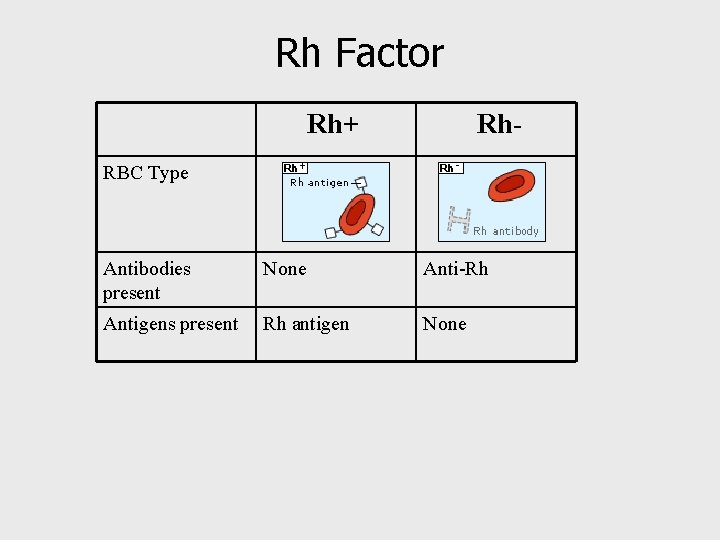 Unit 9 Circulatory System Blood CIRCULATORY SYSTEM Functions