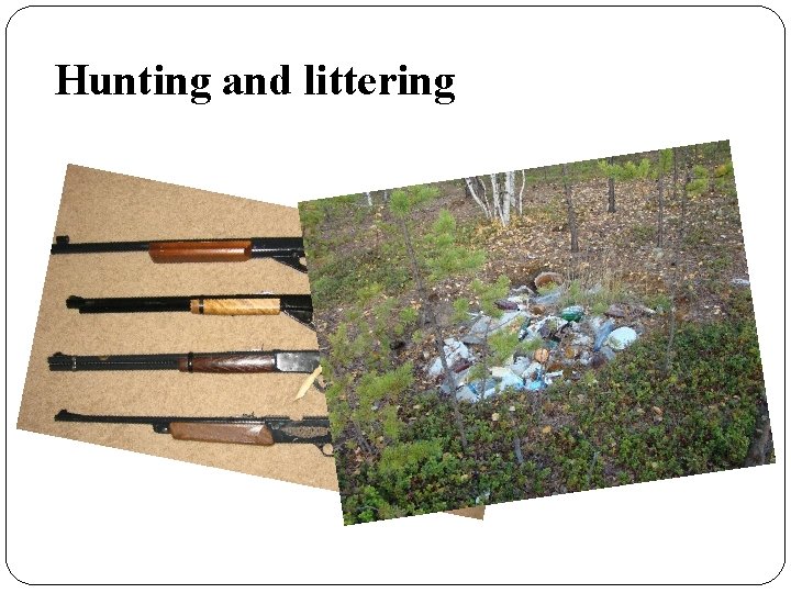 We should save endangered species because they are